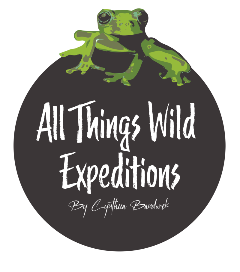 All Things Wild Expeditions - All Things Wild Expeditions