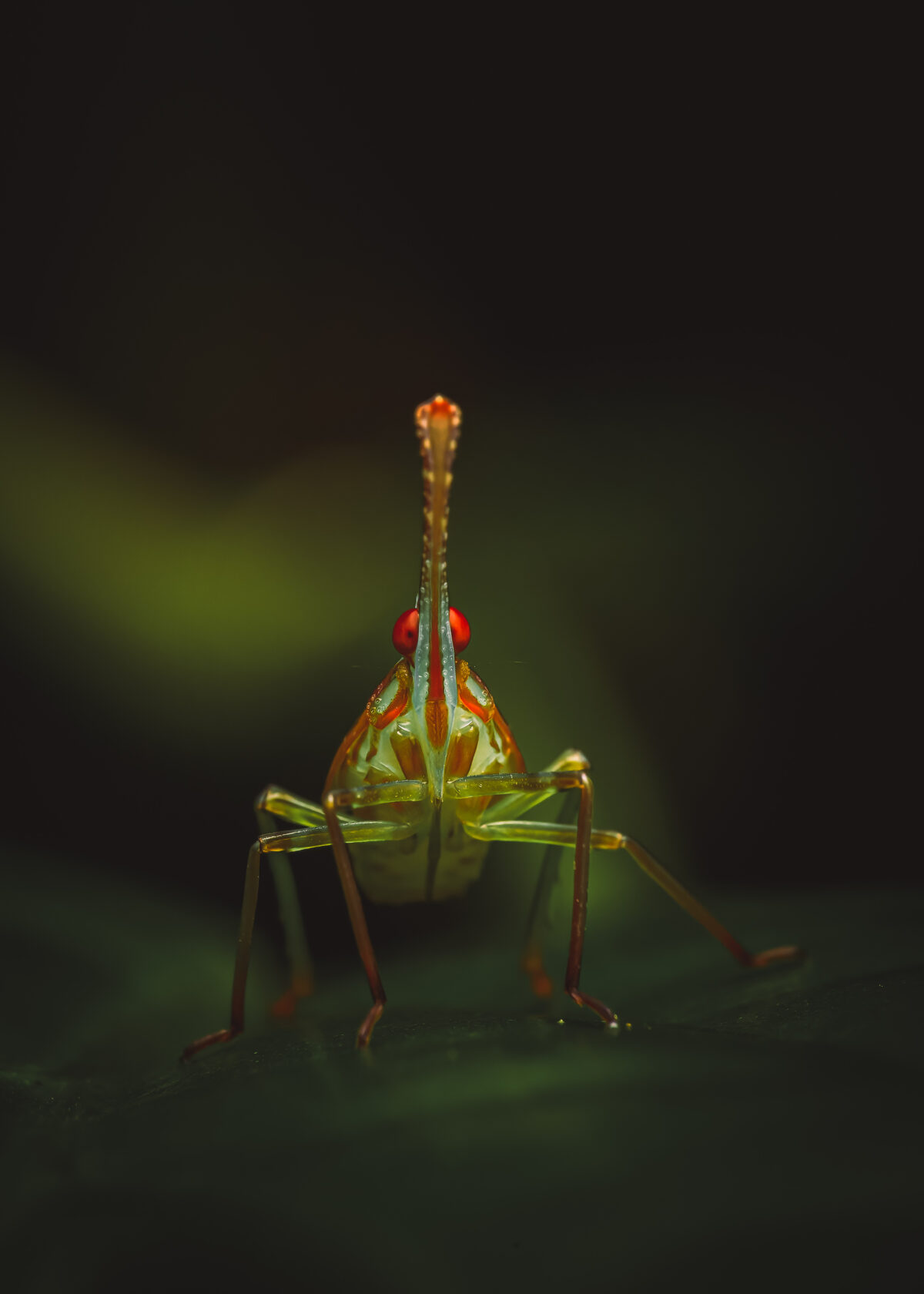 All Things Wild Expeditions - All Things Wild Expeditions